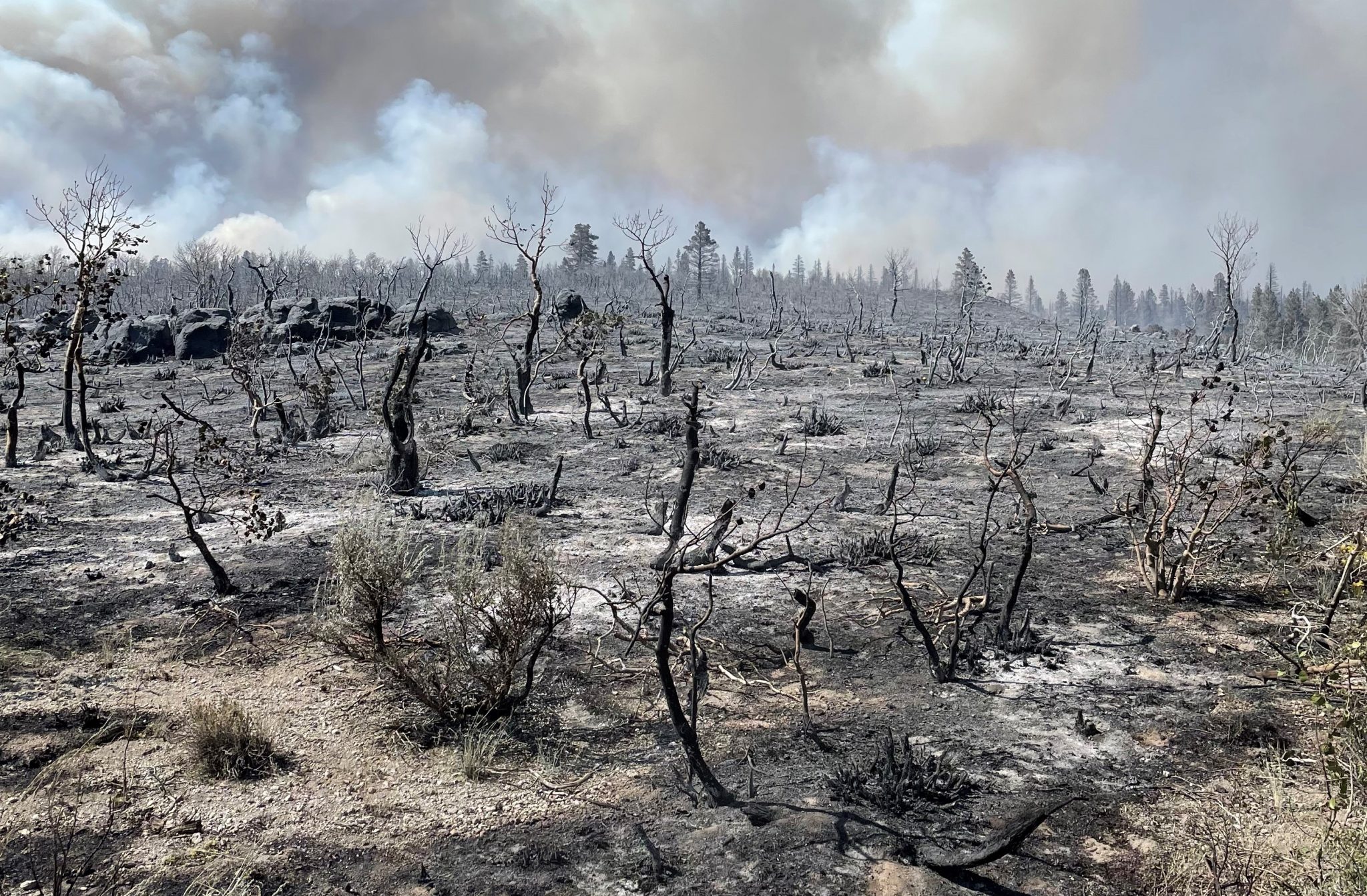 Delaware engine crew on California’s Dexter Fire