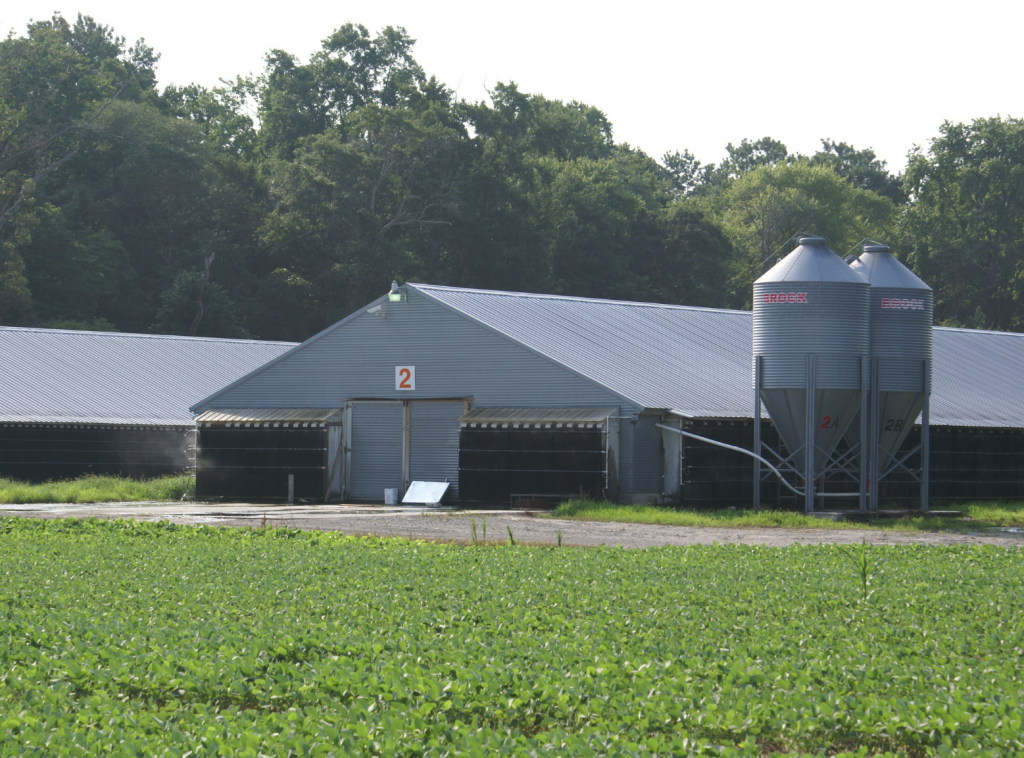 Delaware announces largest round of farms preserved in state history ...