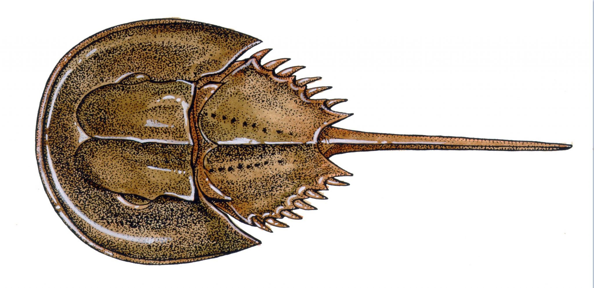 Delaware Launches Program to Grow Teacher Workforce – Centered on ...