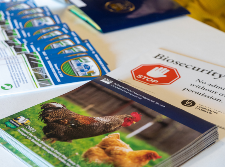 Kimberly Hughey named Warden of Baylor Women's Correctional Institution ...