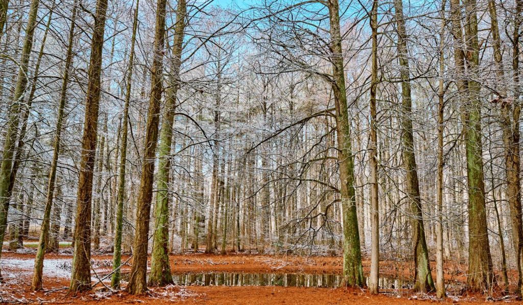 State of Delaware News - News from Delaware State Government Agencies