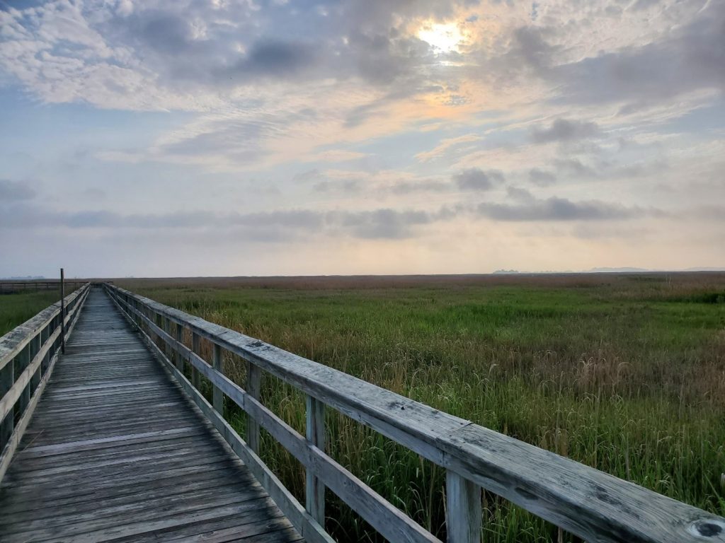 DNREC’S Division of Parks & Recreation to hold March 28 open house to ...