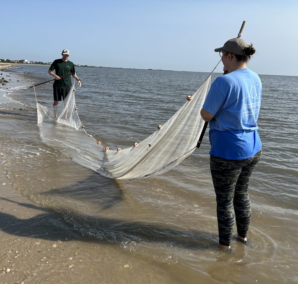 DNREC to Offer ‘Life in the Bay’ Educational Youth Seining Program