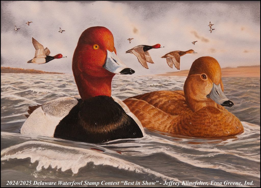 State of Delaware News - News from Delaware State Government Agencies