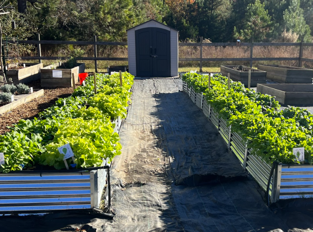 First State Food System Program Opens Third Grant Application Cycle ...