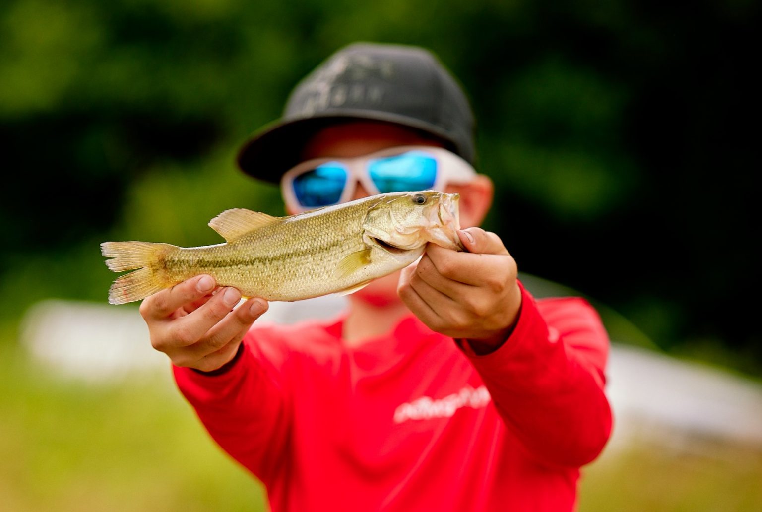New Delaware Artificial Reef Guide Now Available - State of Delaware News