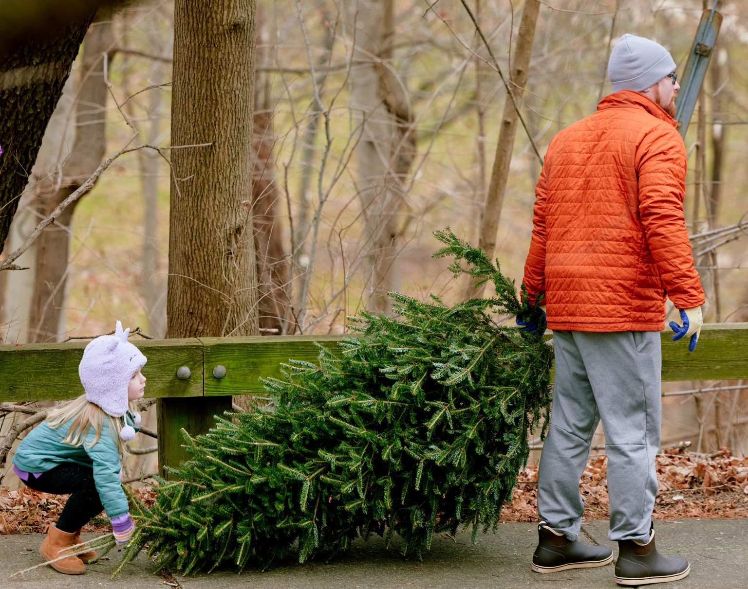 Recycle Holiday Trees in the New Year at Delaware Center for ...