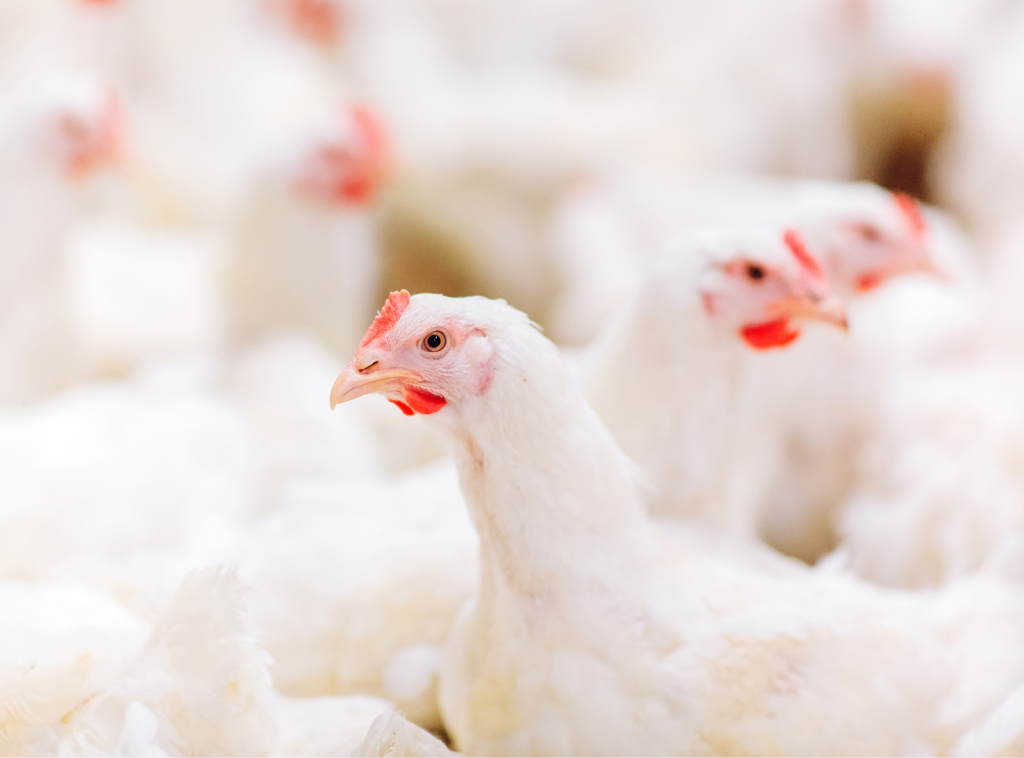 DNREC Issues Temporary Emergency Variance for Air Quality to Perdue ...