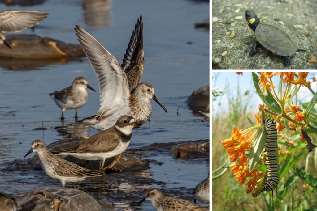 Delaware Expands Electric Vehicle Rebates to Include Used Models ...