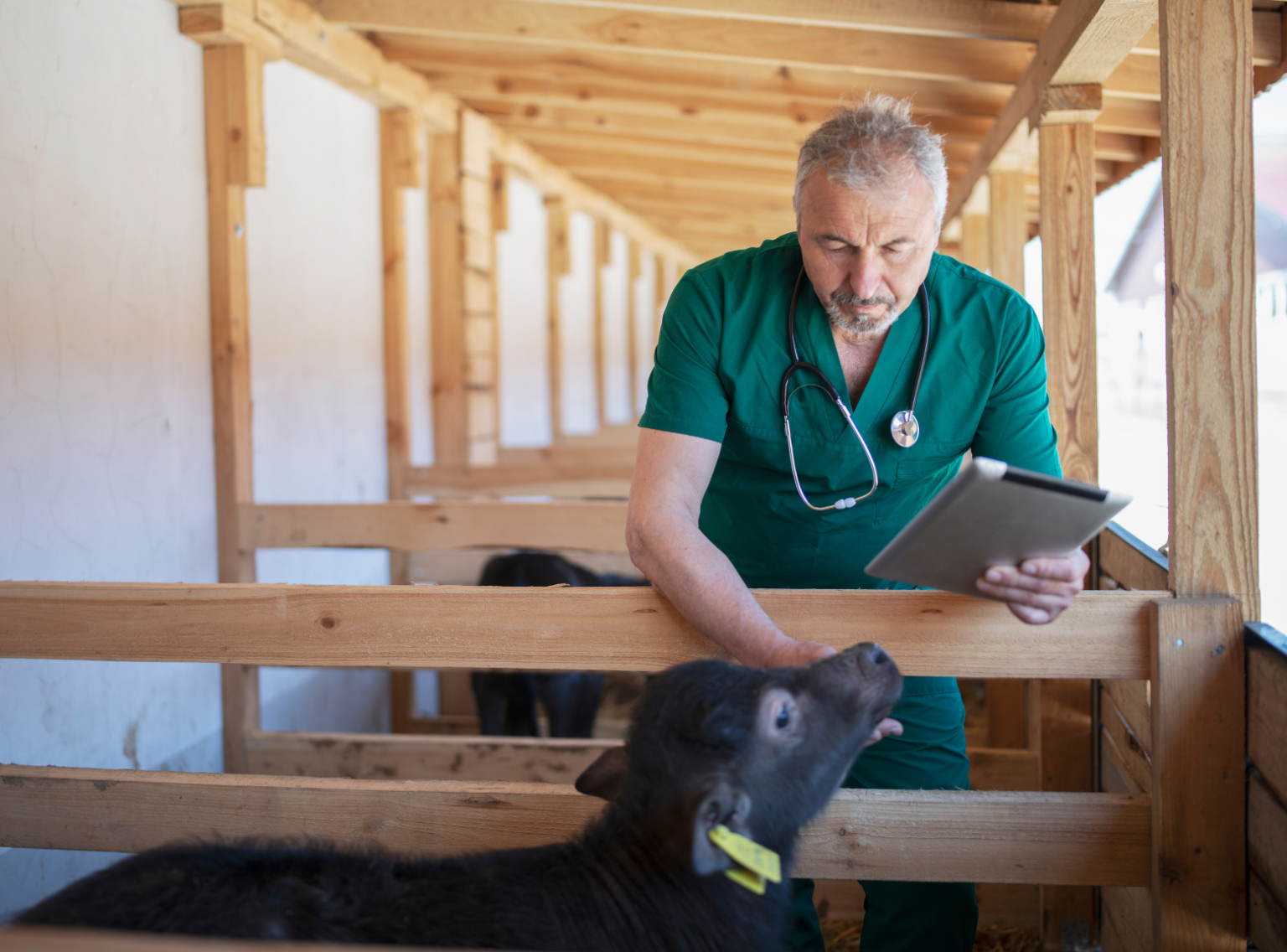 DMV Announces New Online Driver’s License and ID Card Renewal Service ...