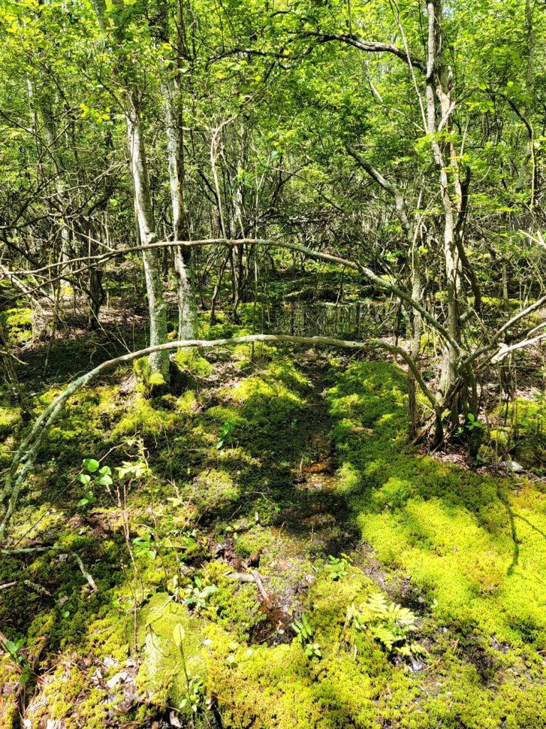 DEHAP Rental Assistance Is Open For New Applications - State of ...