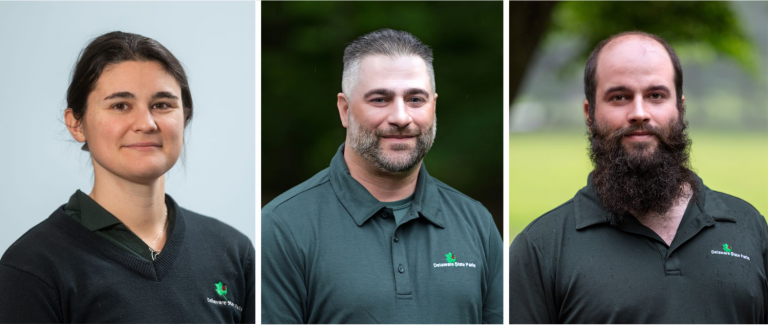 Latest DNREC Air Quality Report Shows Progress, but Highlights Need for ...