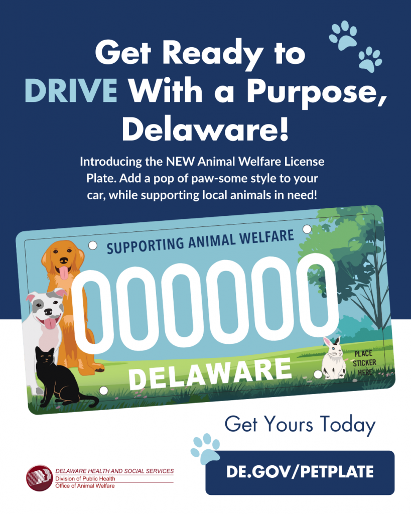 Delaware State Parks Standard Surf Fishing Permits Sold Out - State of ...