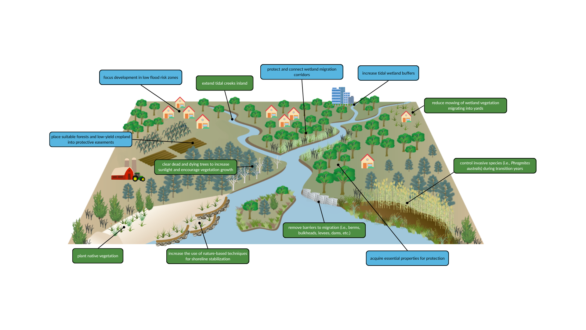 DNREC Releases Updated Marsh Migration Model