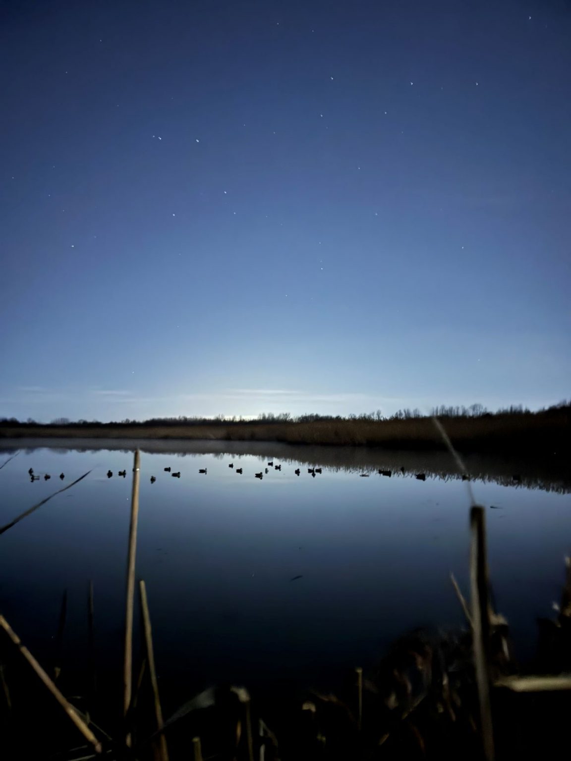 2025/26 Delaware Hunting and Trapping Guide Now Available - State of ...