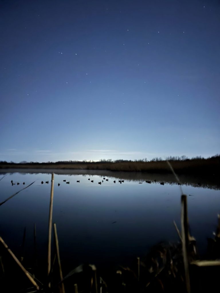 DEHAP Rental Assistance Is Open For New Applications - State of ...