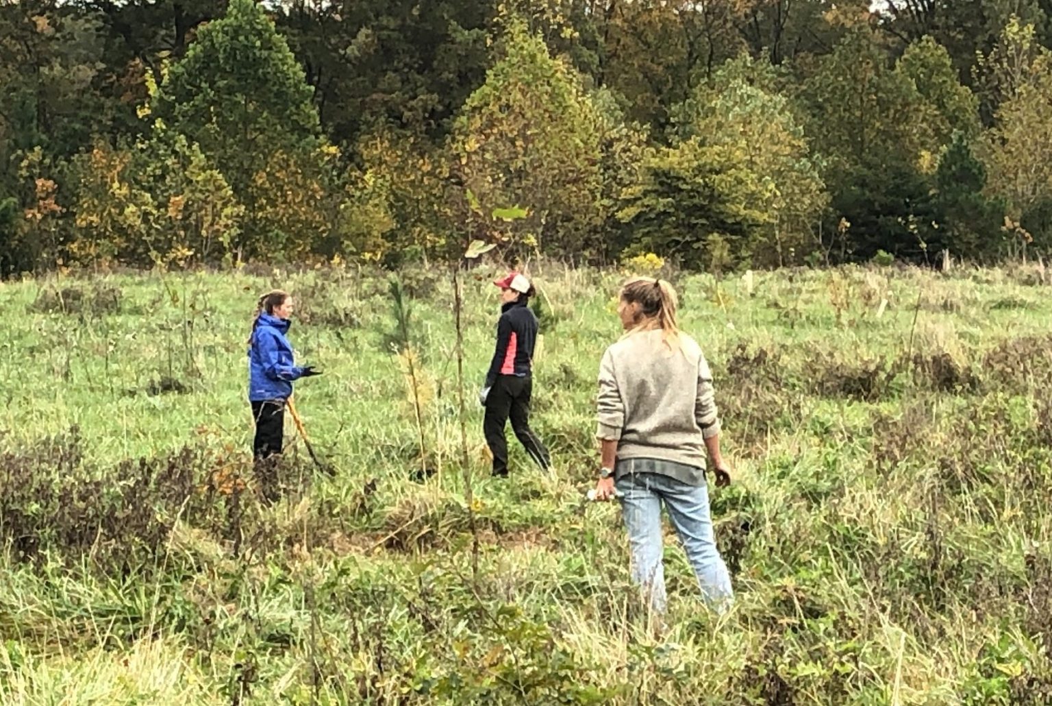 DEHAP Rental Assistance Is Open For New Applications - State of ...