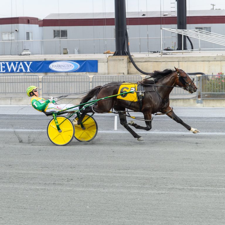 Department of Education announces new leadership to support funding ...