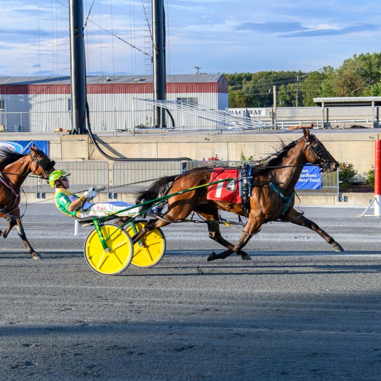 DMV Announces New Online Driver’s License and ID Card Renewal Service ...
