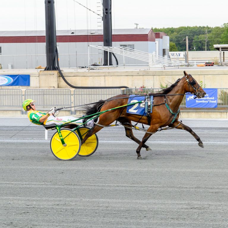 Delaware to Open Several Hunting Seasons in September, Including ...