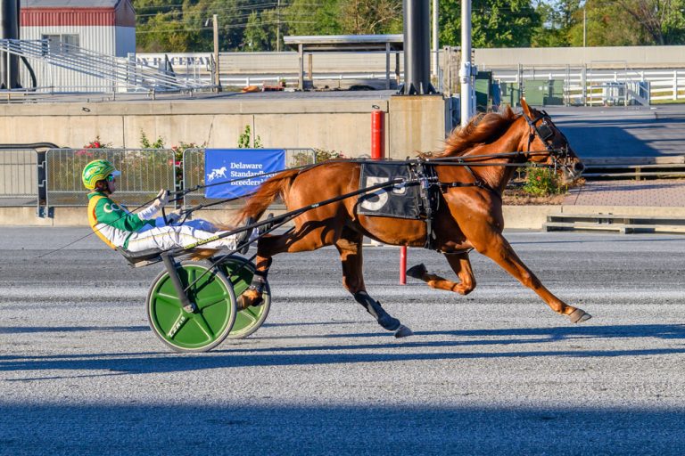 Delaware to Open Several Hunting Seasons in September, Including ...