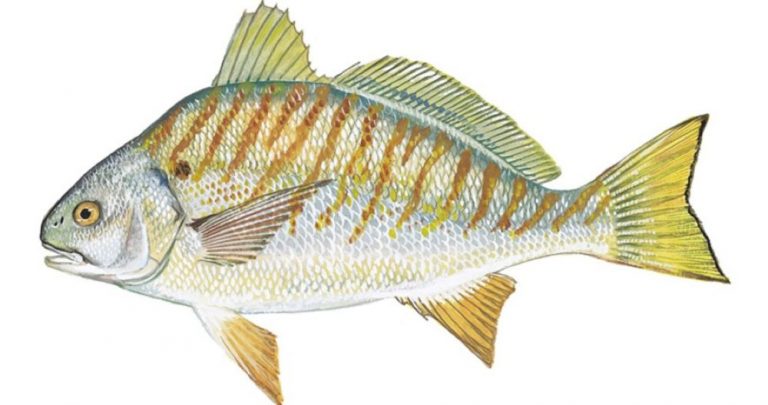 Department of Education announces new leadership to support funding ...