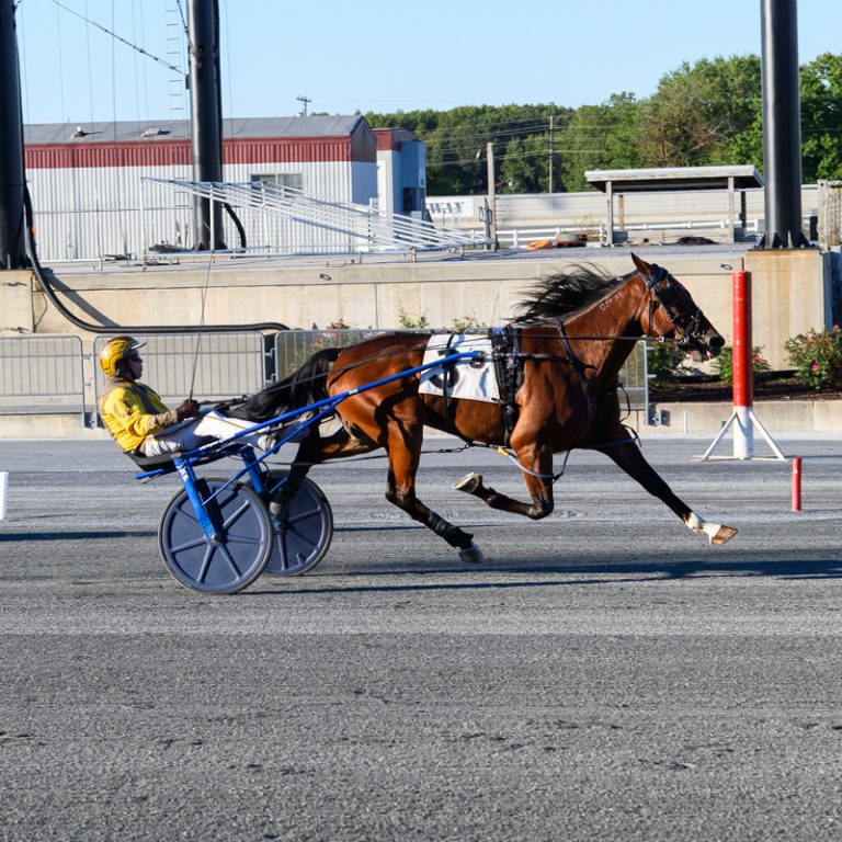 Delaware to Open Several Hunting Seasons in September, Including ...