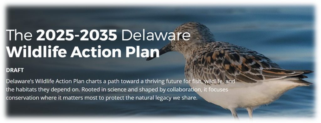 DMV on the Go 2025 Season - State of Delaware News